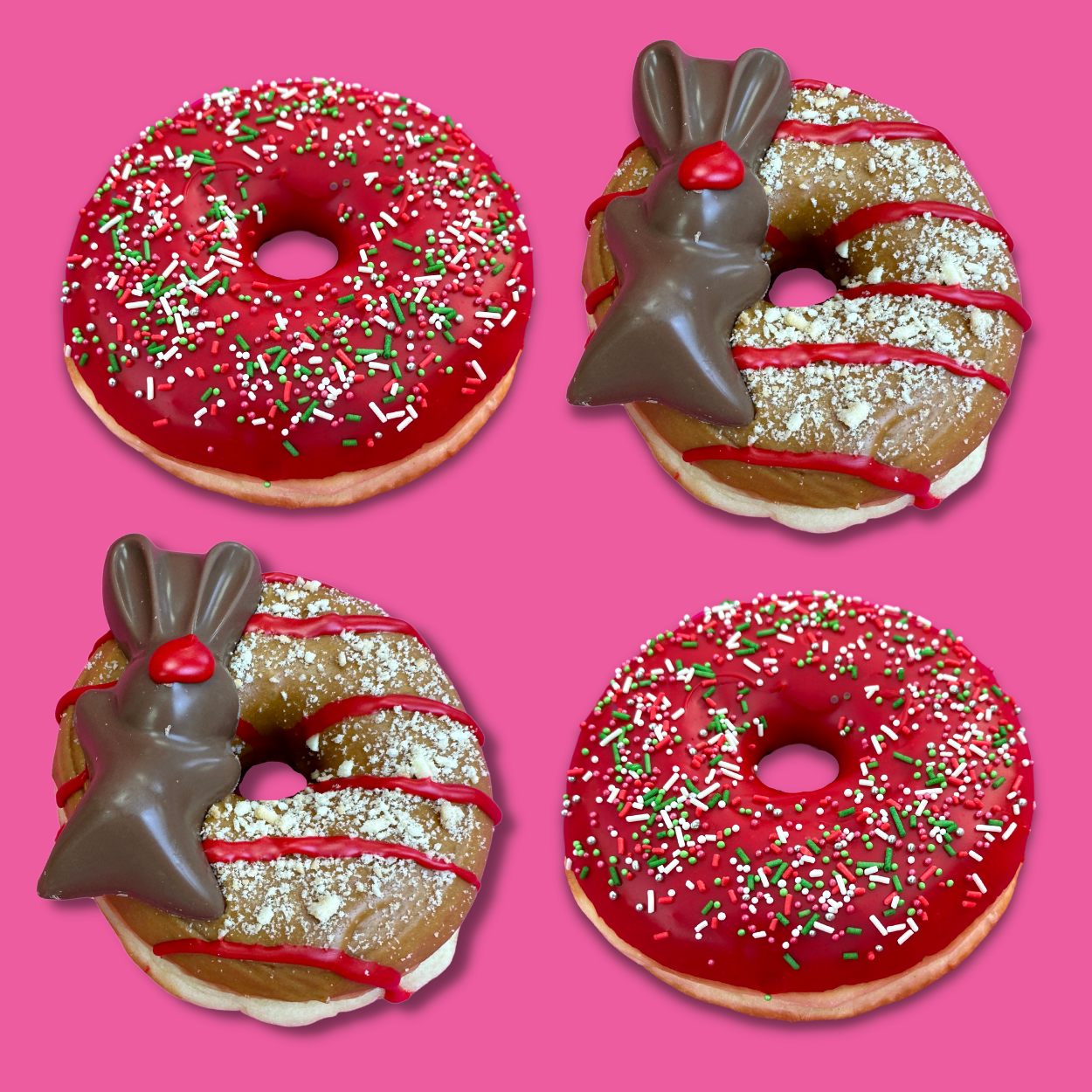 Project Doughnut Home